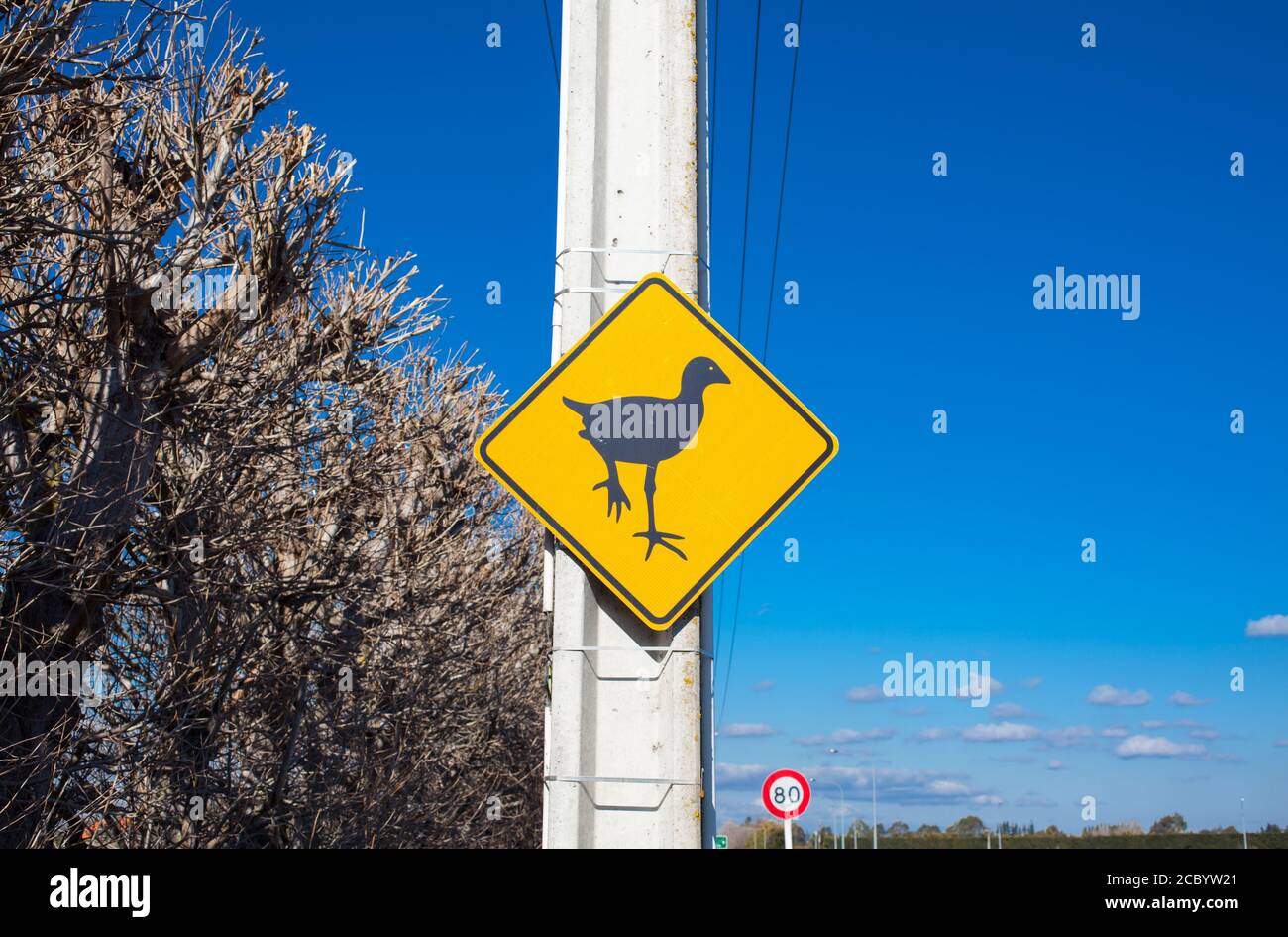 New Zealand Countryside Scenes: iconic road-signs and warnings Stock ...