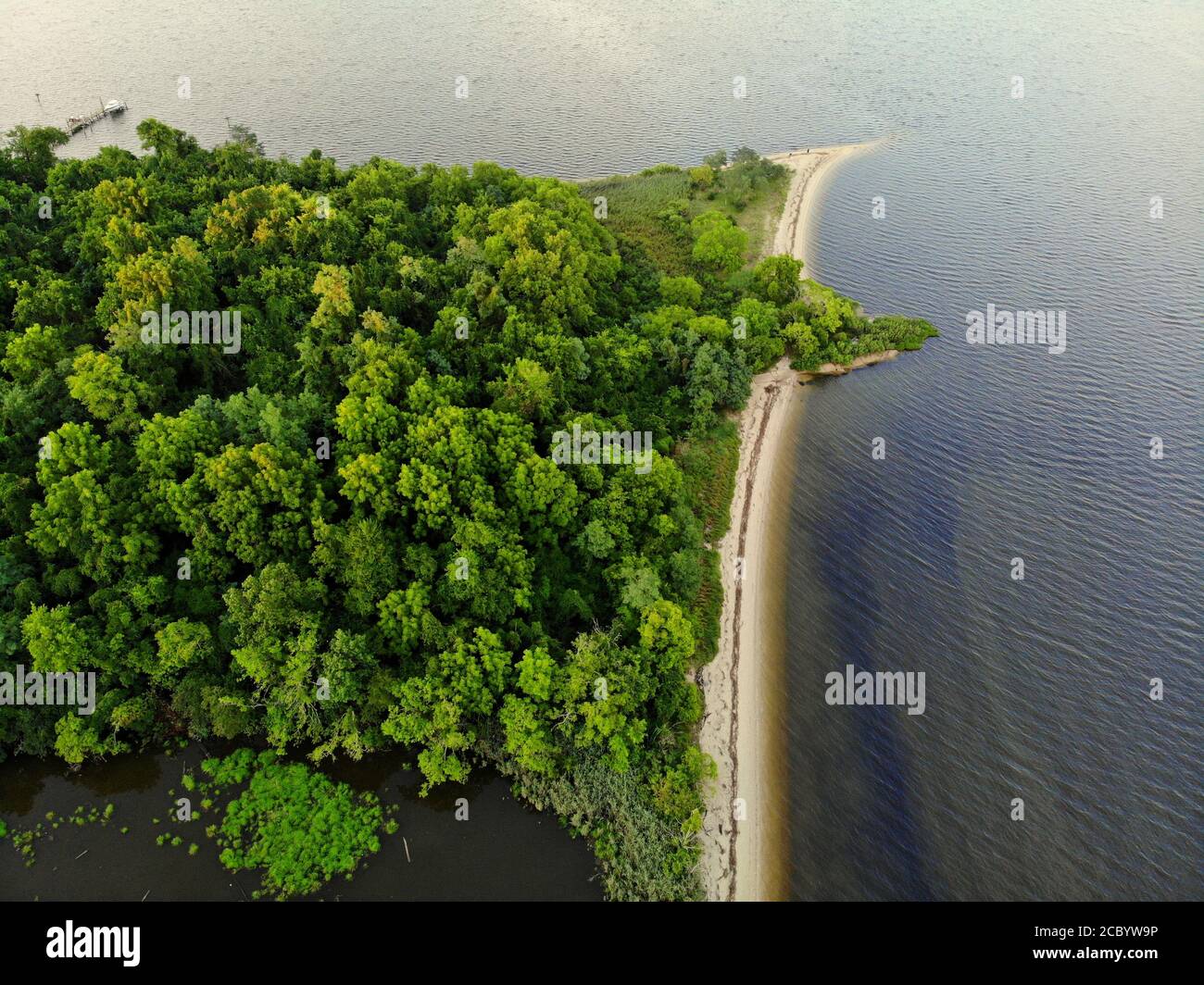 The aerial view of the green trees and white beach near Rock Point ...