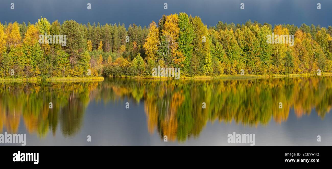 Autumn forest lake reflection landscape Stock Photo - Alamy