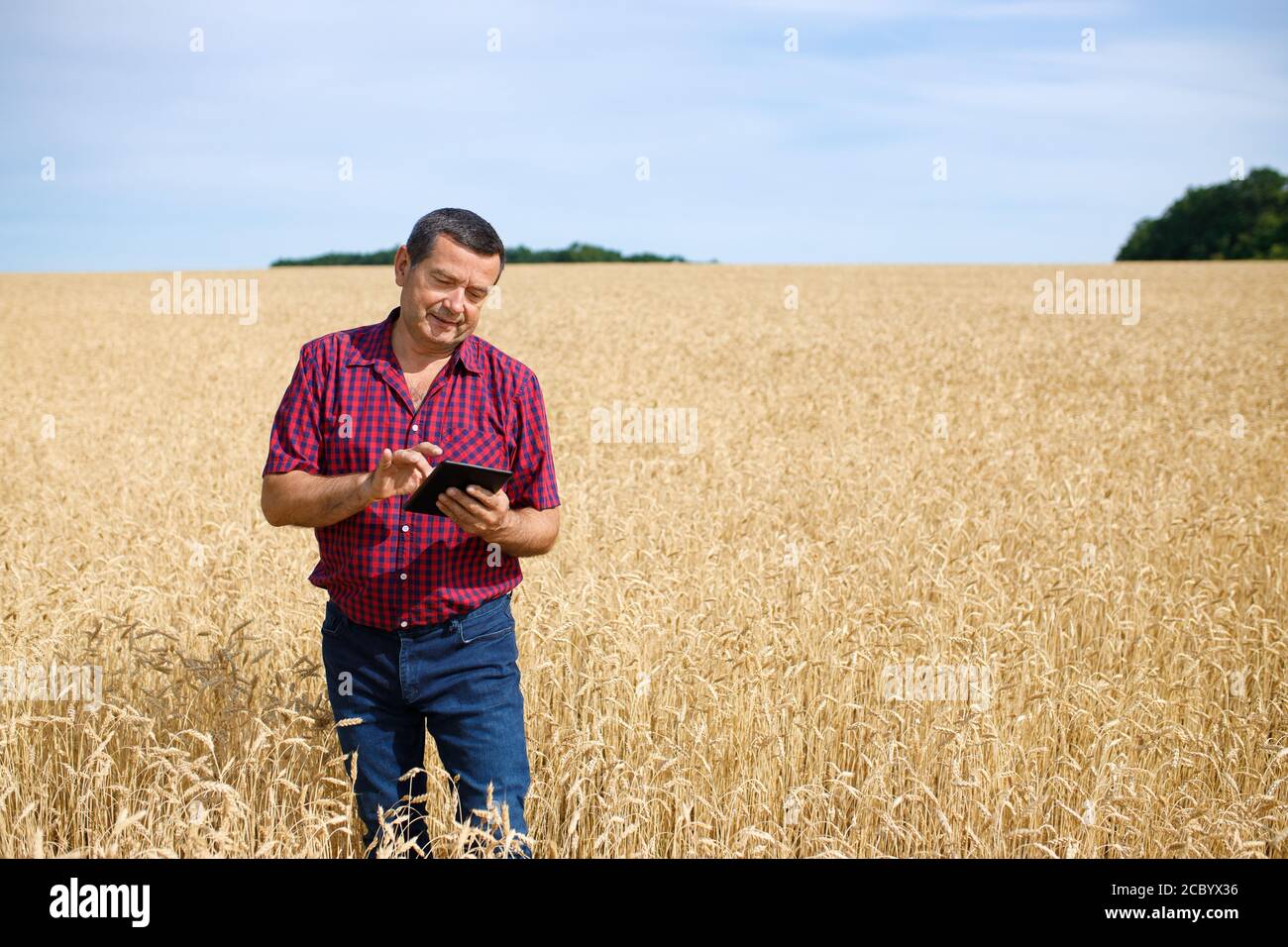 Countryside crop agronomist man hi-res stock photography and images - Alamy