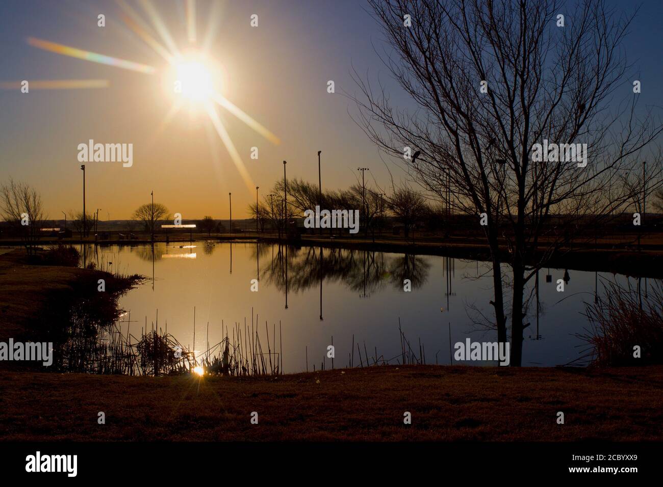 East texas spring hi-res stock photography and images - Alamy