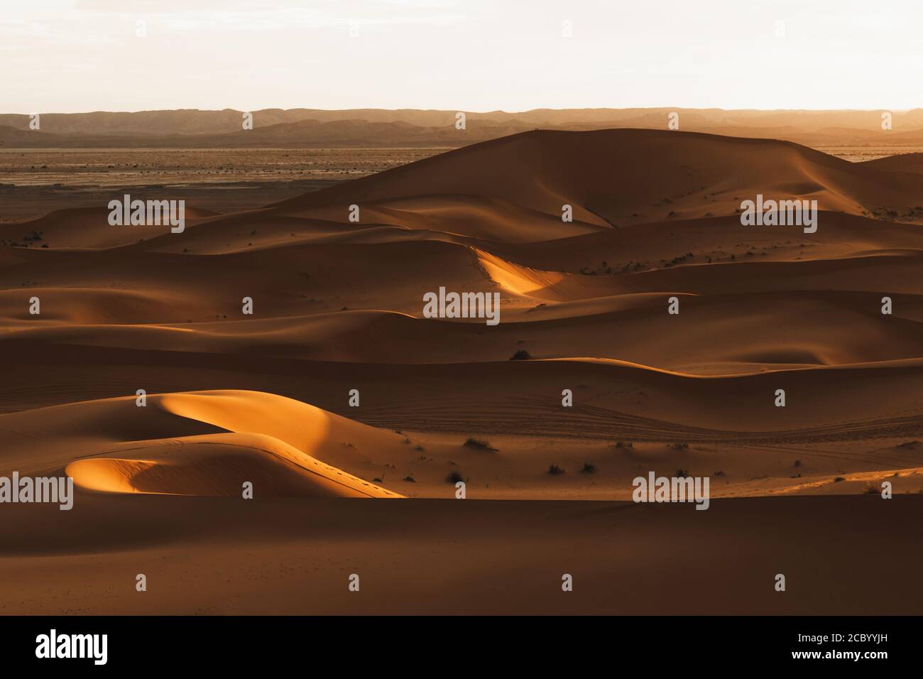 Sahara desert landscape with sand dunes in beautiful warm sunset light ...