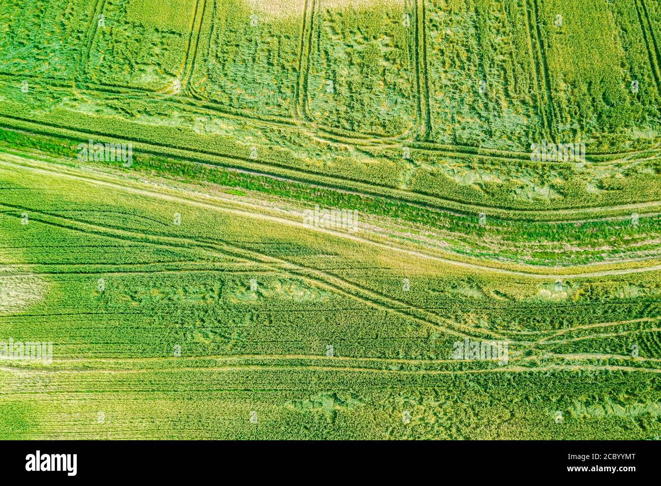 cultivated farm field. green agriculture background. aerial top view ...