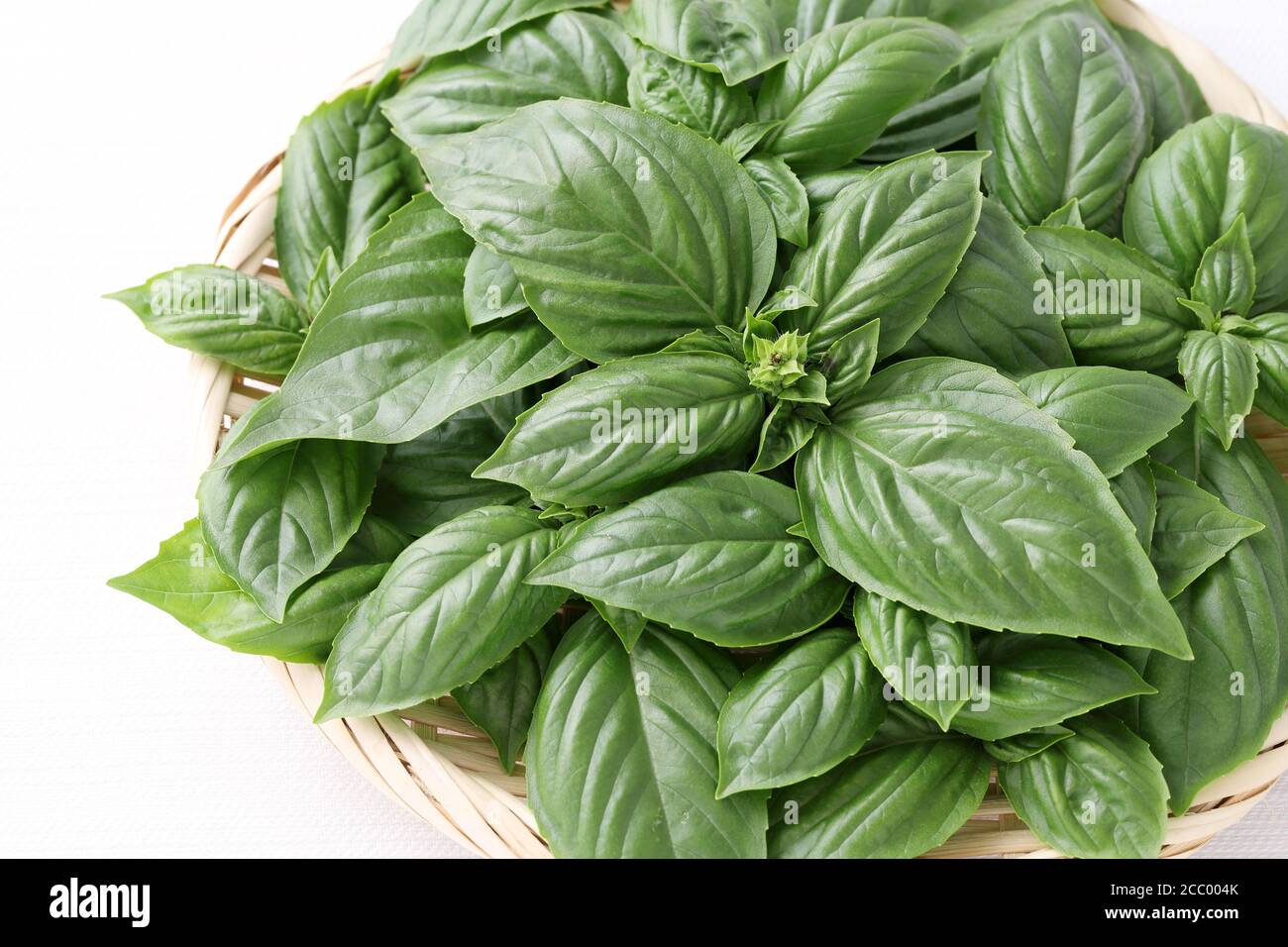 Green basil leaves hi-res stock photography and images - Alamy