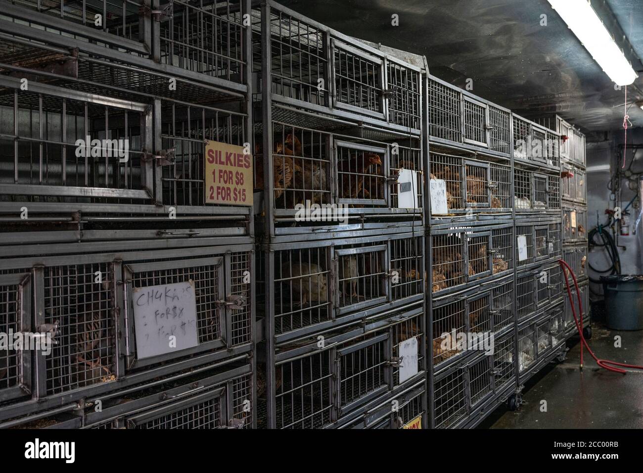 New York, NY - August 16, 2020: General view inside of still ...