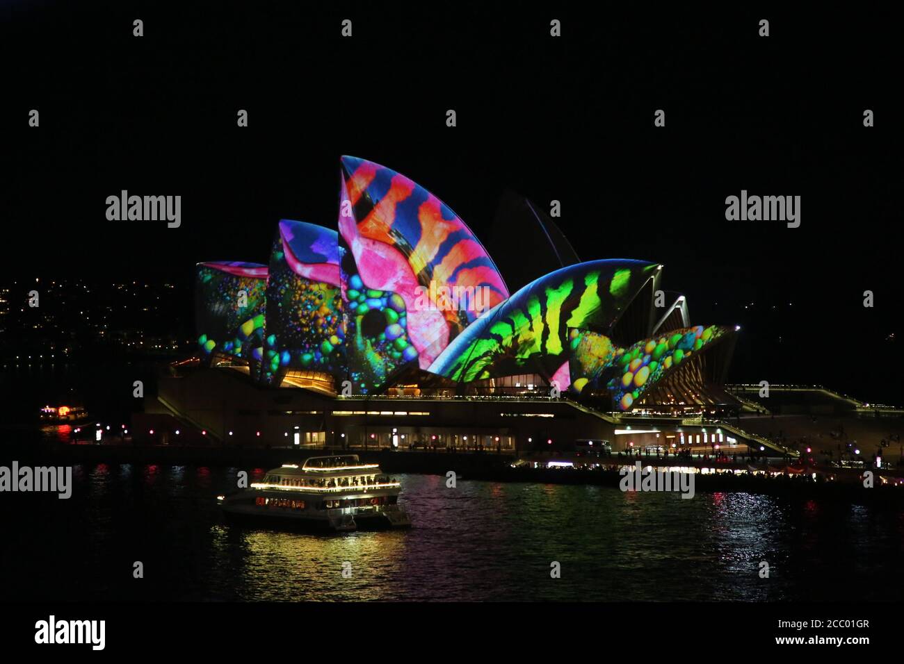 Sensis x Vivid Sydney CEO Club event at the Museum of Contemporary Art ...