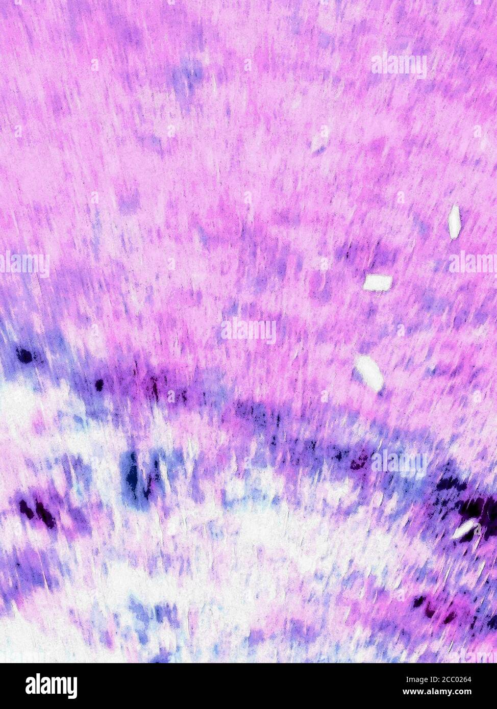 decoration visual blurriness artifacting posterization of animation ...
