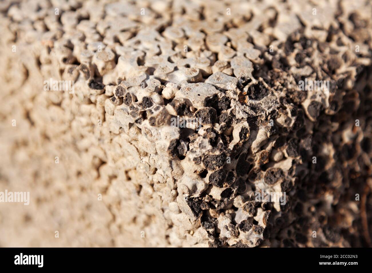 Expanded Clay Blocks High Resolution Stock Photography and Images - Alamy