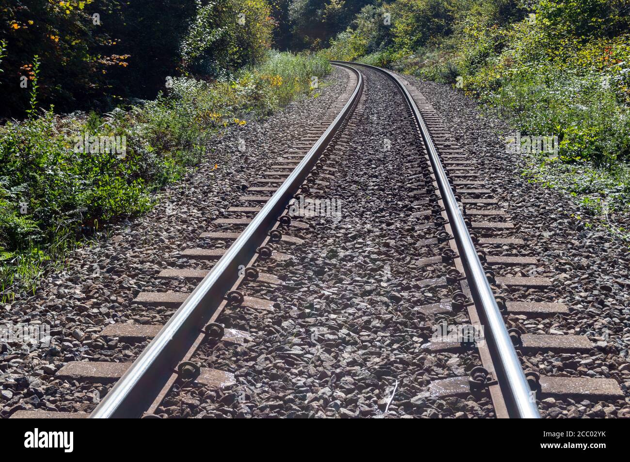 Railroad tracks running through the forest Stock Photo - Alamy