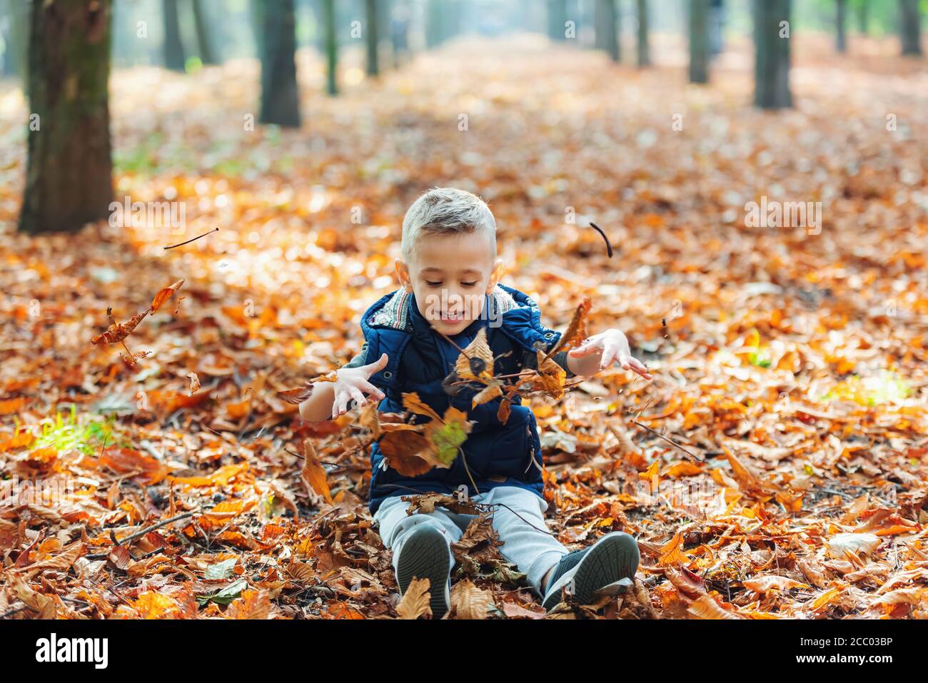 Playful boy throwing up leaves in park Stock Photo - Alamy