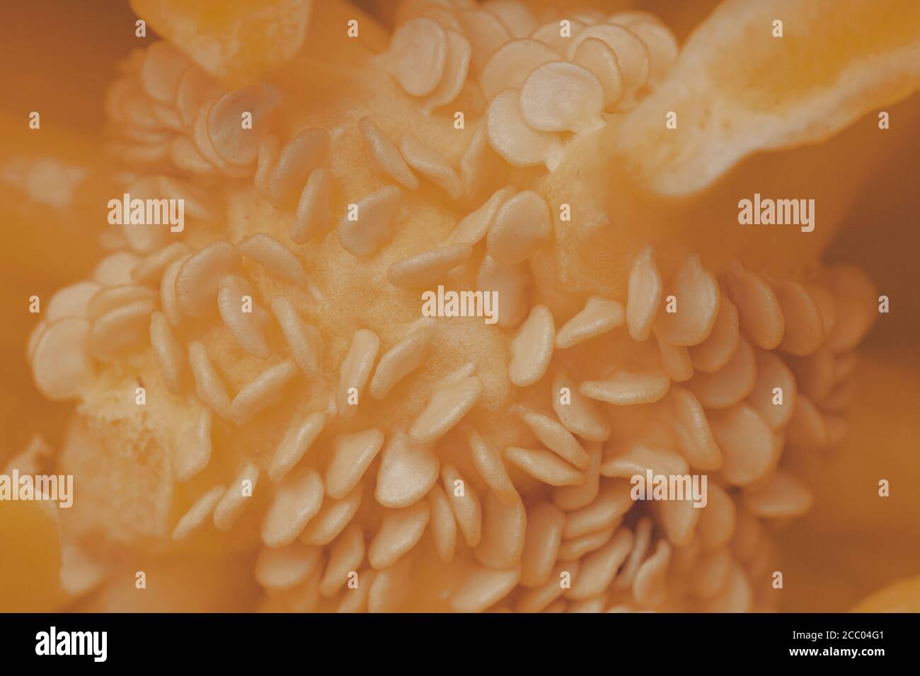 The core of orange sweet pepper close up Stock Photo - Alamy