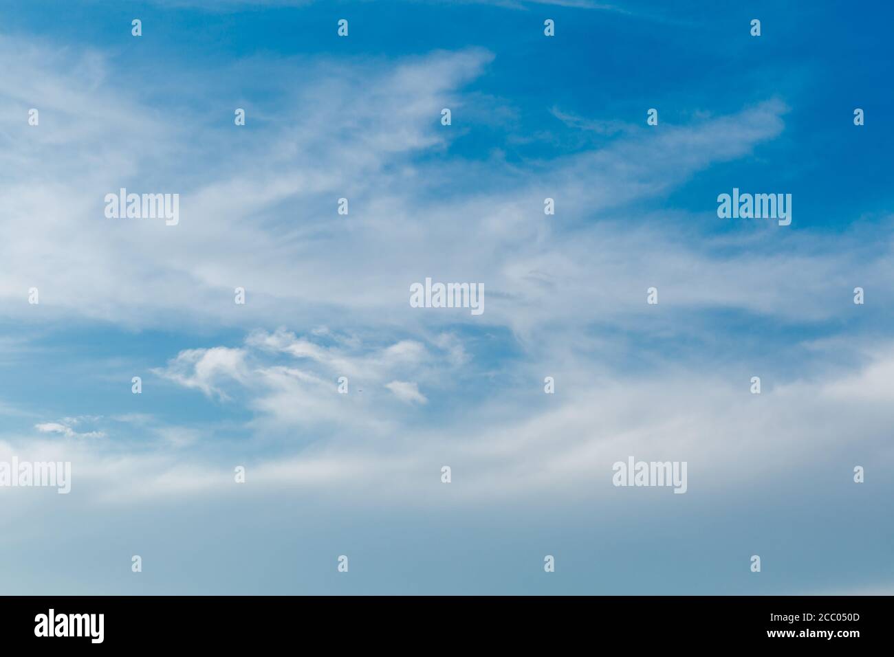Long stretched hi-res stock photography and images - Alamy