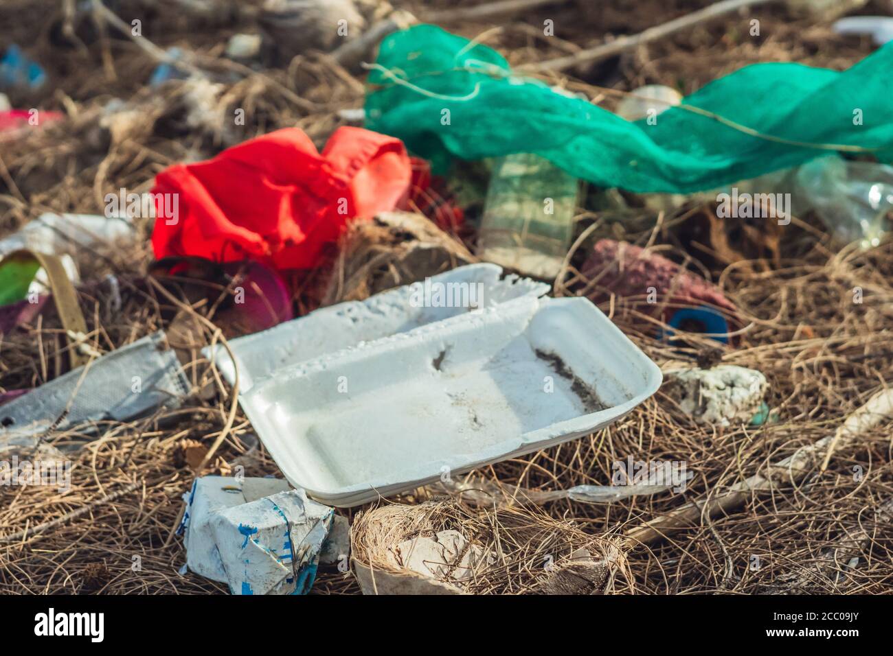 Spilled recycling garbage in park forest. Empty used dirty waste white ...