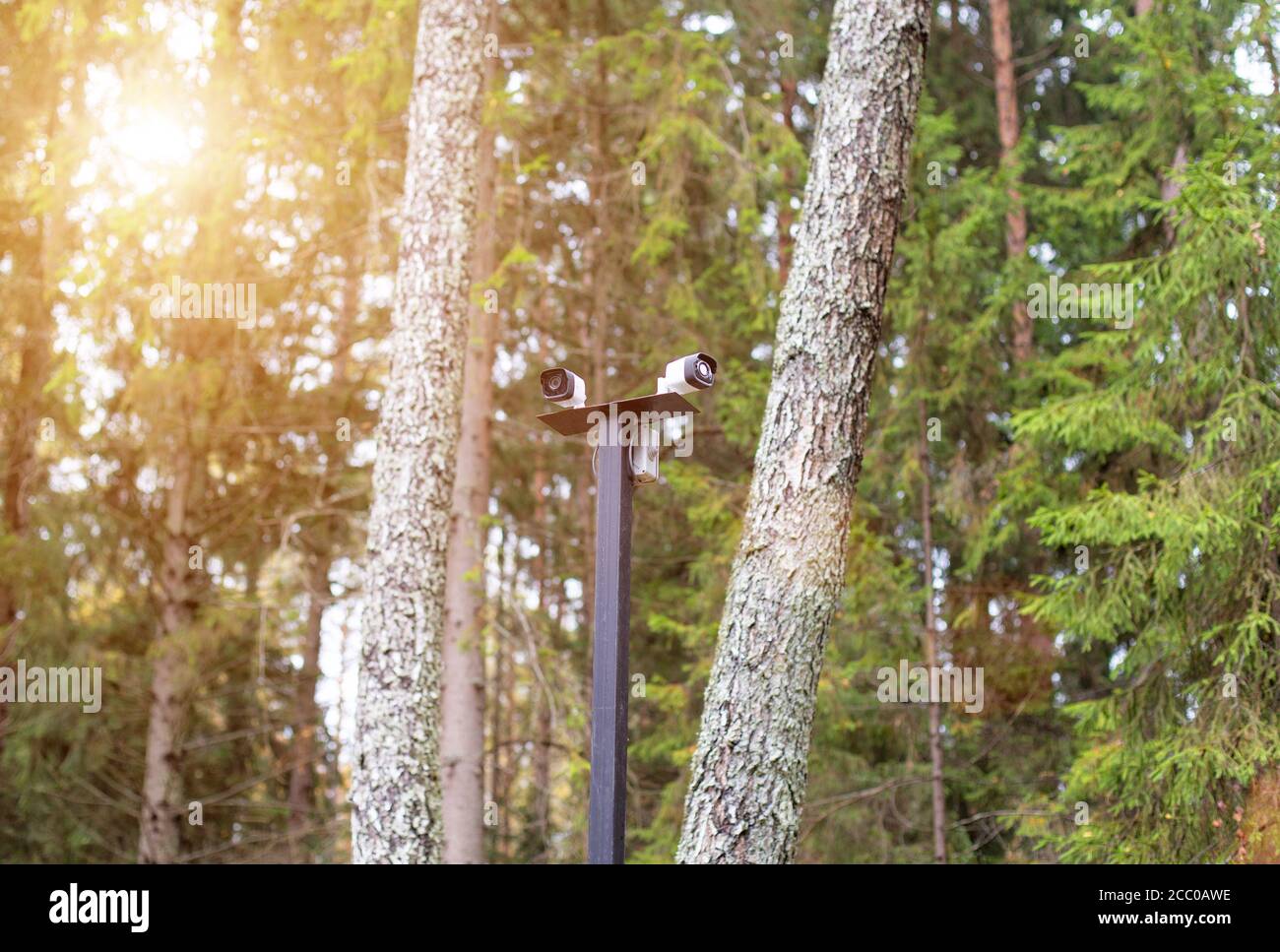 two CCTV cameras in the forest against the background of trees, copy ...