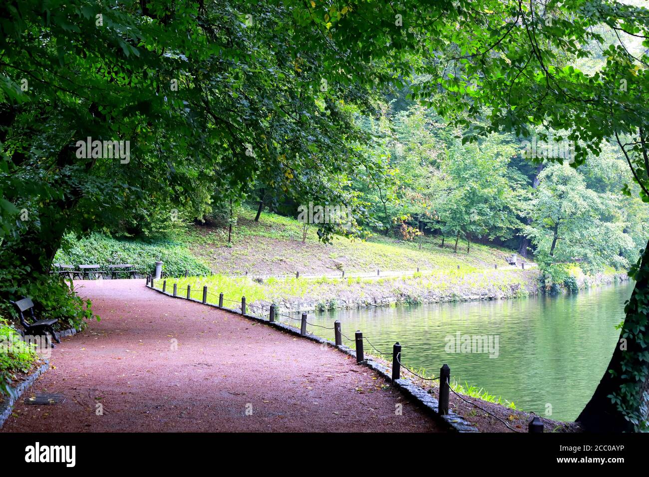 Park background. Stone path near the lake and picturesque deciduous ...