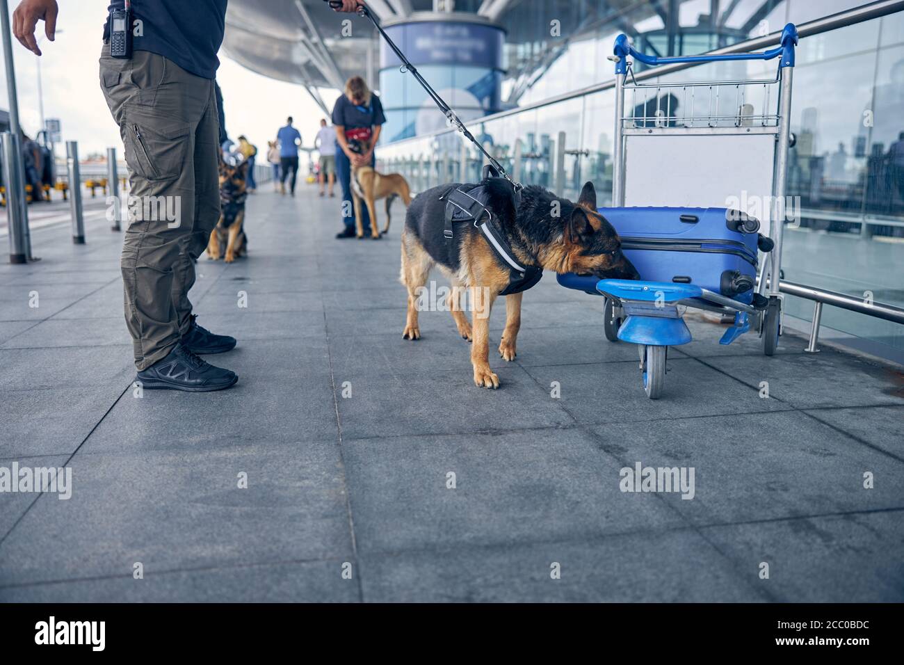 Customs Officer Airport High Resolution Stock Photography and Images ...