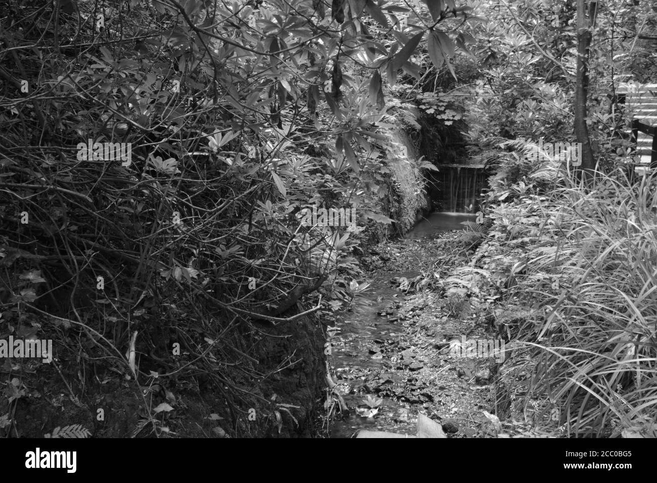 Small Weir at the Shanklin Chine on the Isle of Wight Stock Photo - Alamy