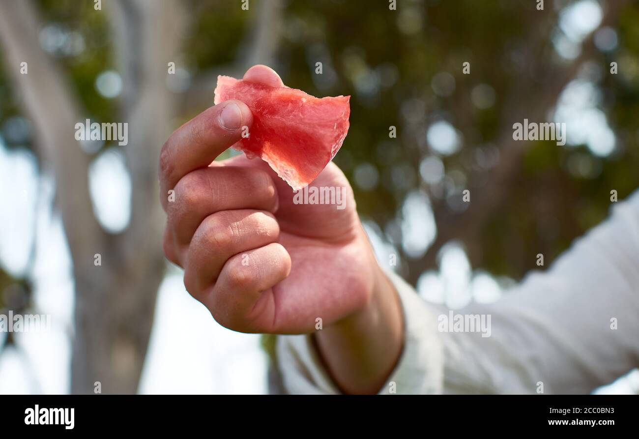 Male hand holding fresh watermelon hi-res stock photography and images ...