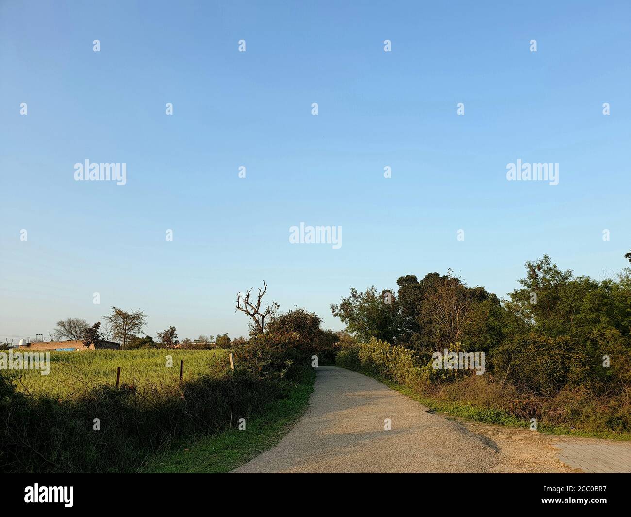 Jangle hi-res stock photography and images - Alamy