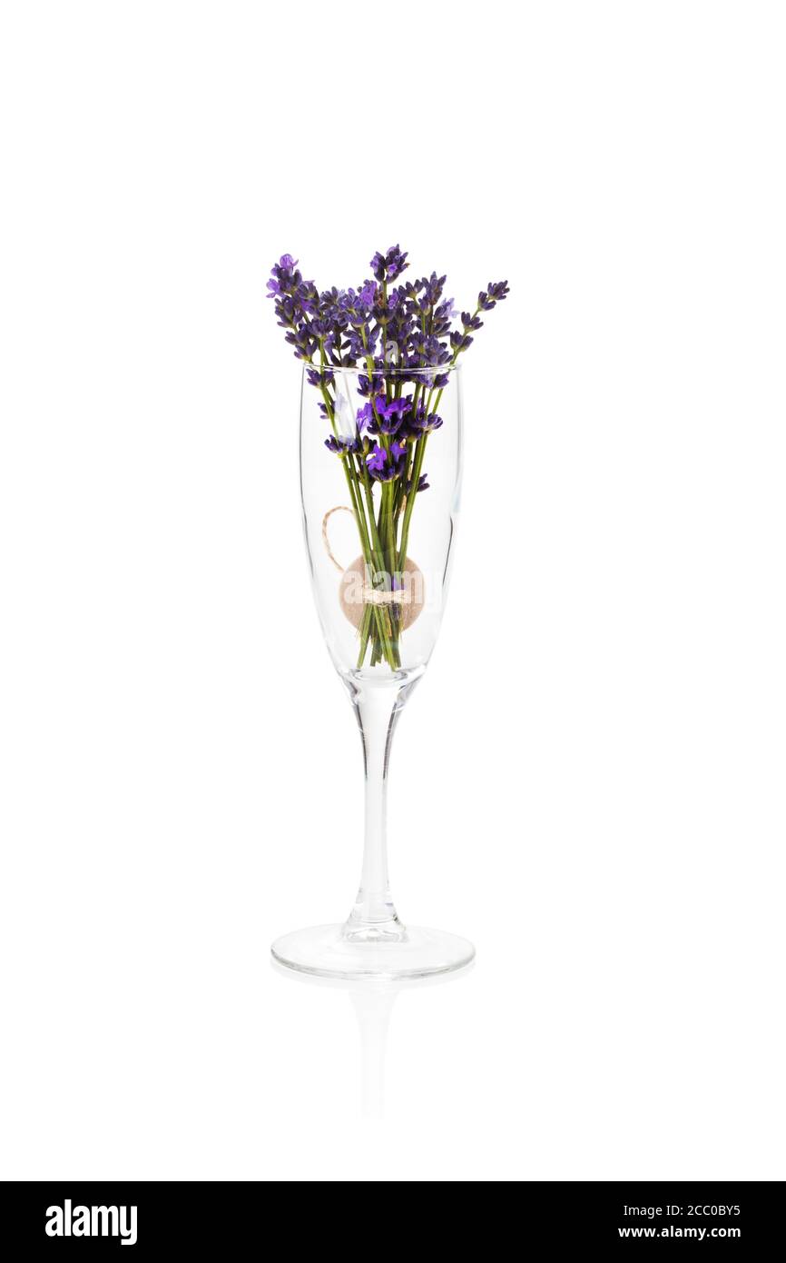 Aromatic lavender bouquet in champagne glass isolated on white ...