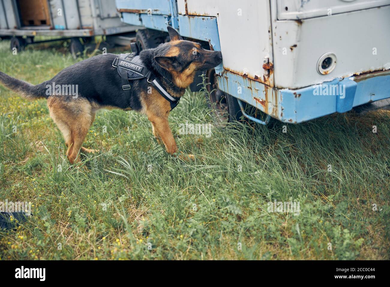 Animal control vehicle hi-res stock photography and images - Alamy