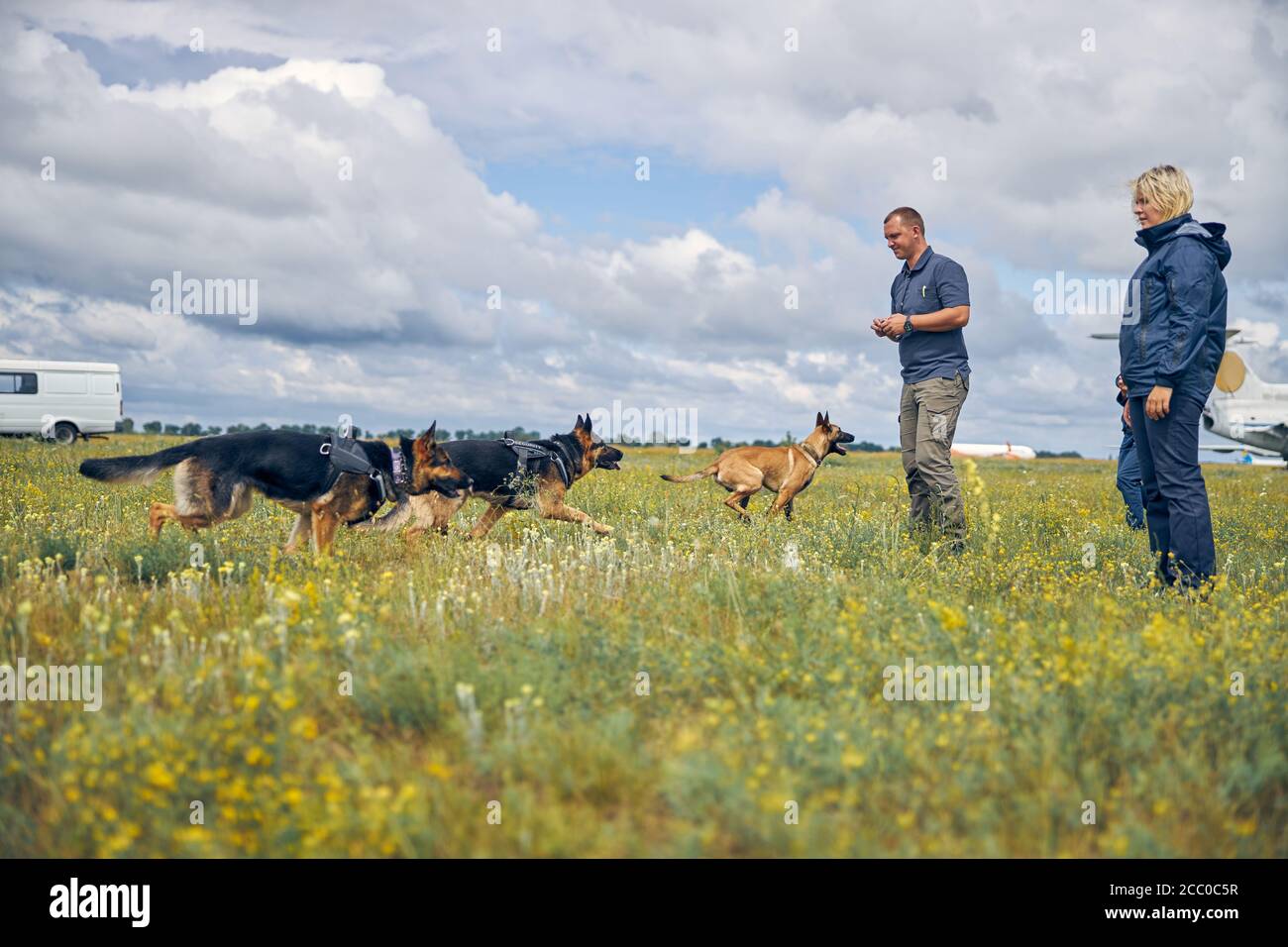 Narcotics detection dogs hi-res stock photography and images - Alamy