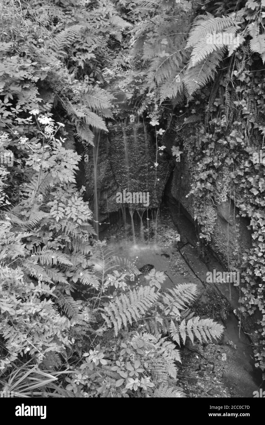 Small Weir at the Shanklin Chine on the Isle of Wight Stock Photo - Alamy