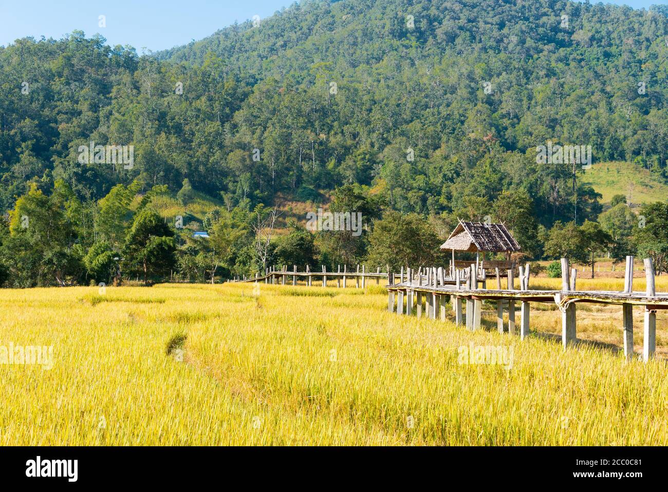 Pai, Thailand - Beautiful scenic view from Pai Bamboo Bridge (Boon Ko ...