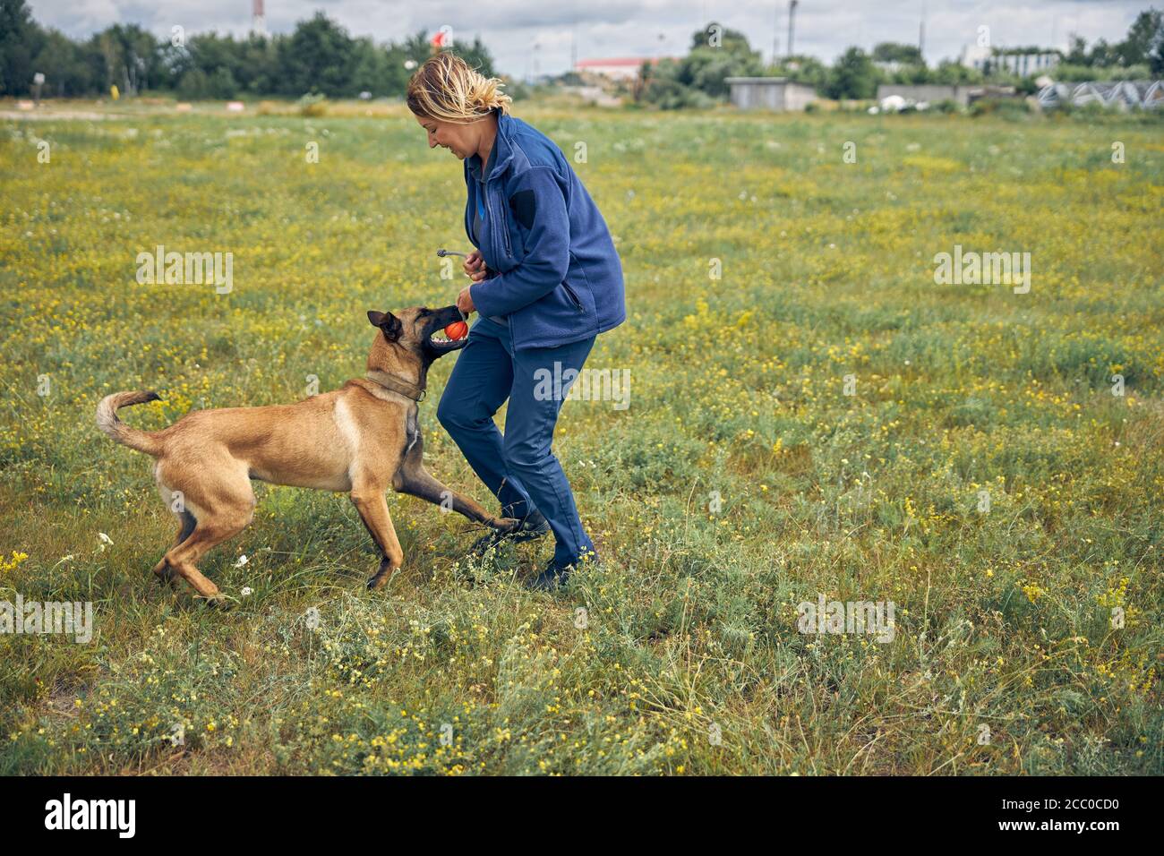 Professional female dog handler training hi-res stock photography and ...