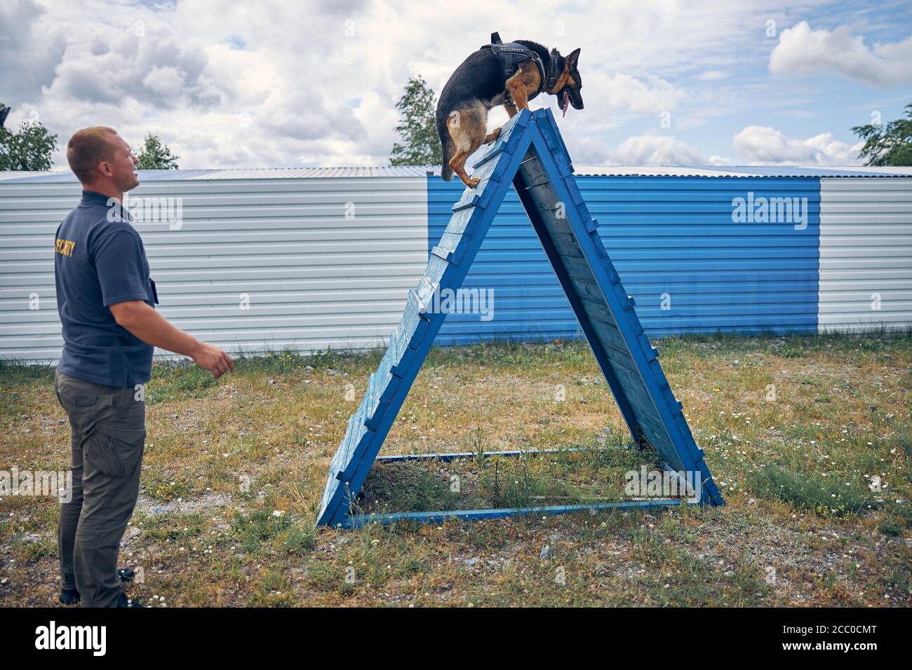 Male handler training German Shepherd dog outdoors Stock Photo - Alamy