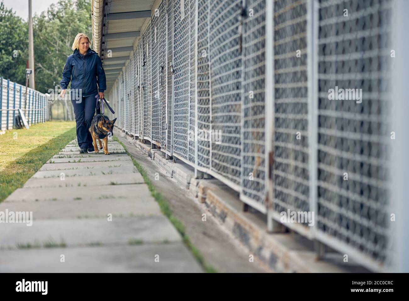 Female officer with security dog walking by locked cages Stock Photo ...