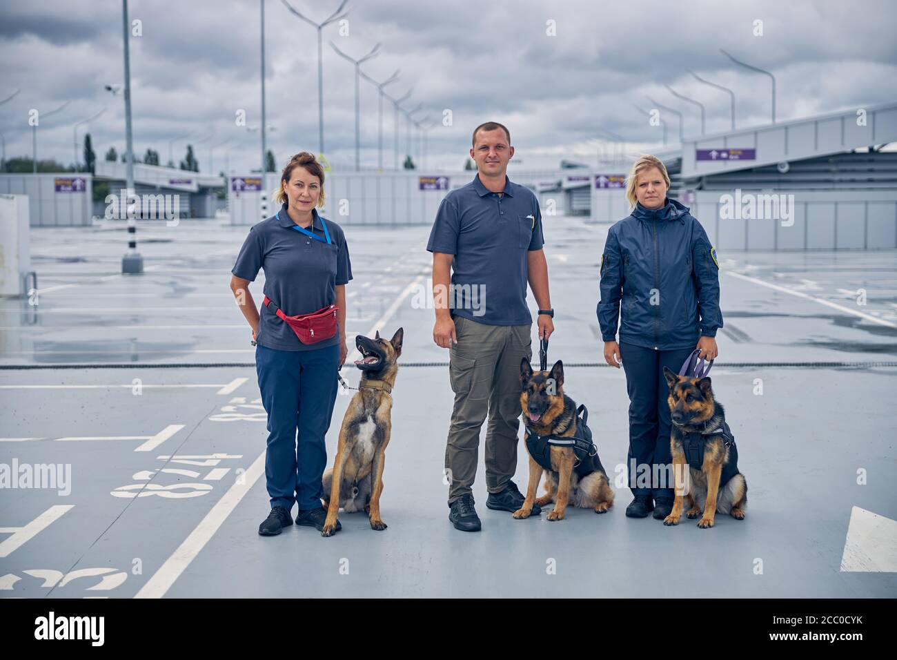 Security guards with police dogs standing in airfield Stock Photo - Alamy