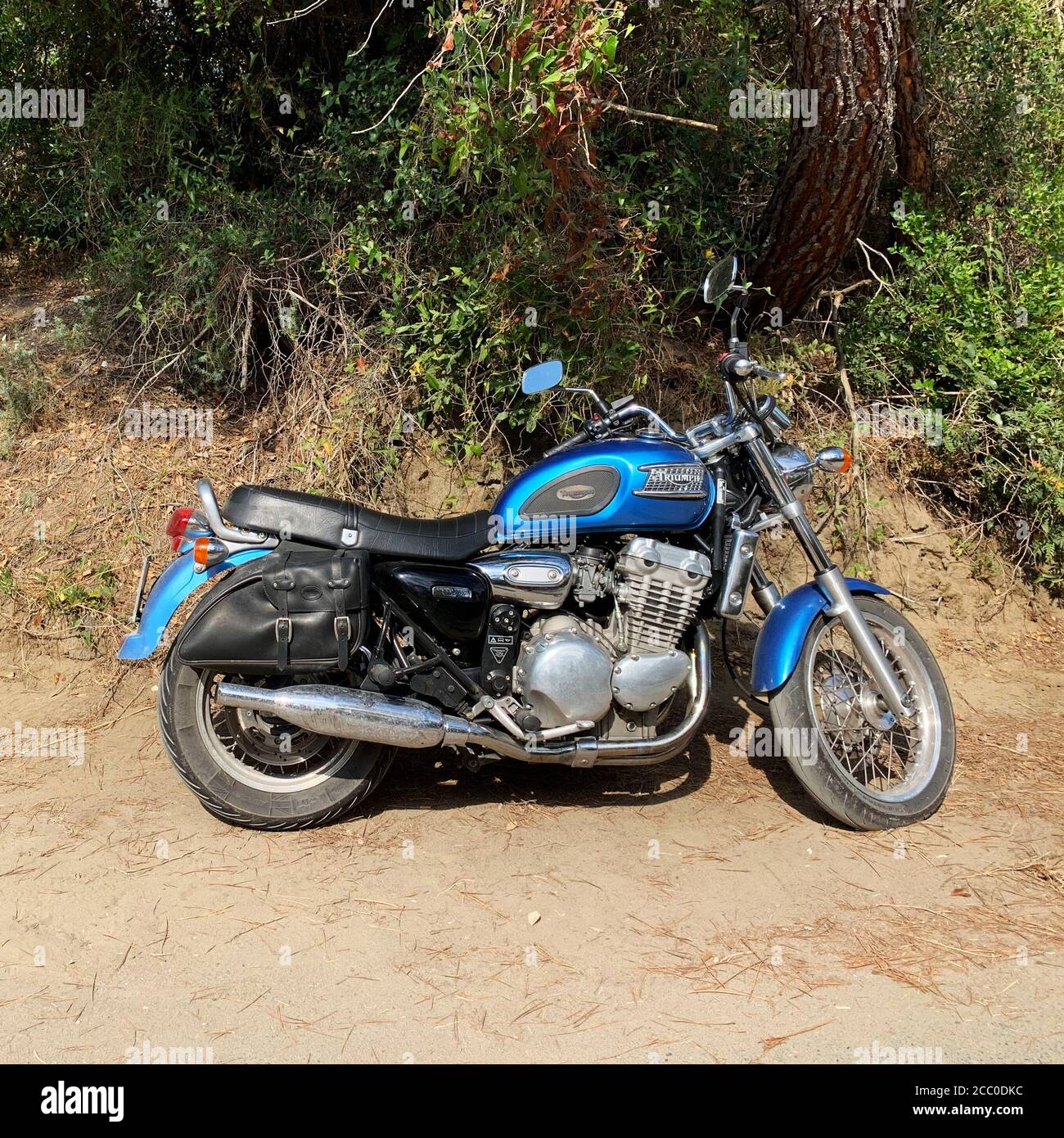Beautiful motorcycle on nature Stock Photo - Alamy