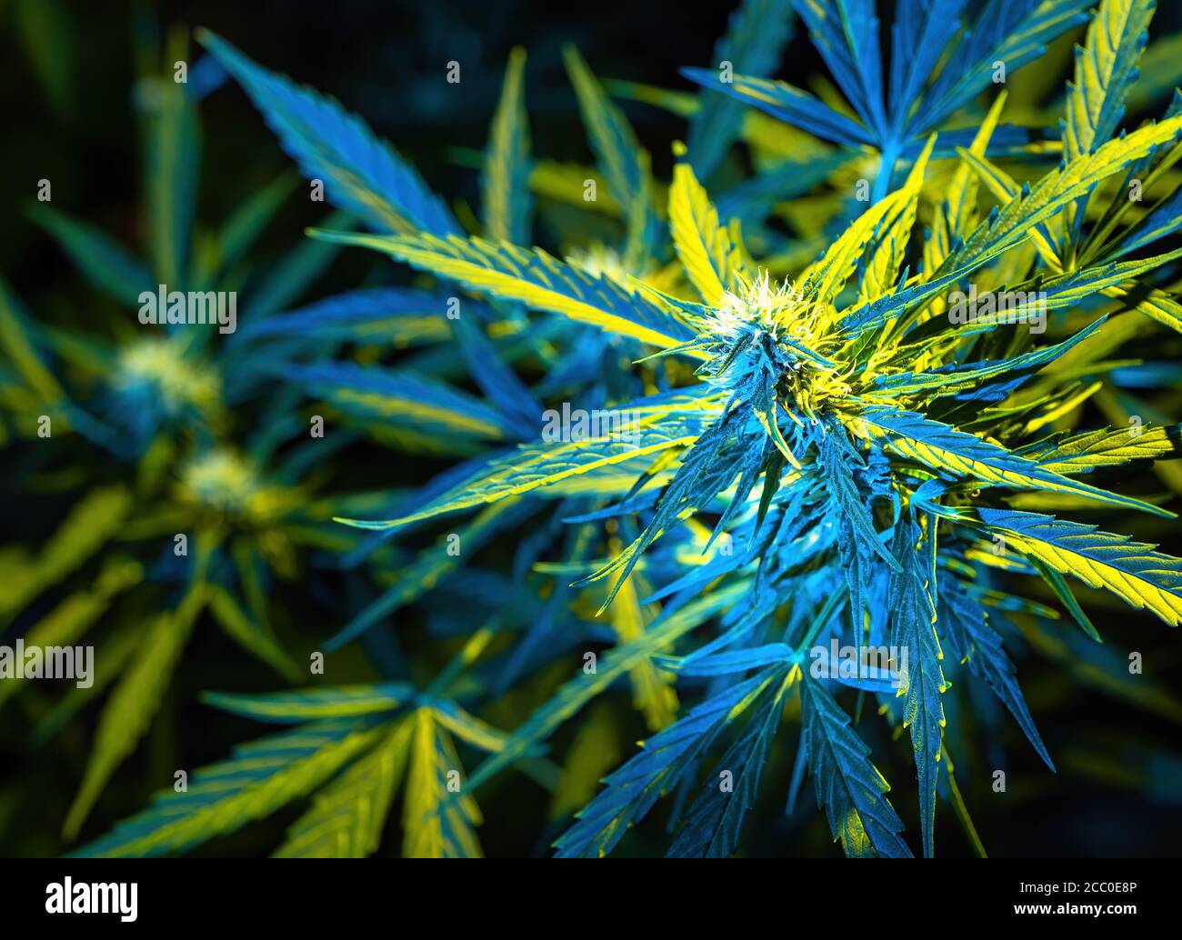 Psychedelic effect hi-res stock photography and images - Alamy