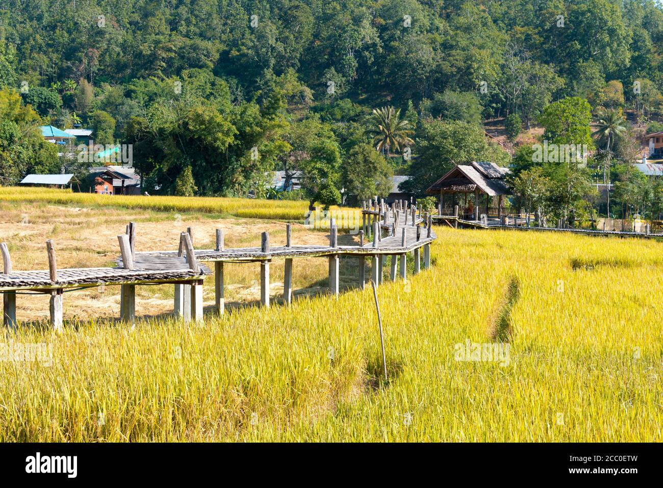 Pai, Thailand - Beautiful scenic view from Pai Bamboo Bridge (Boon Ko ...