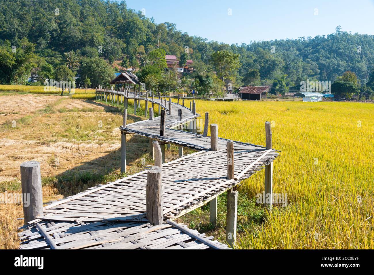 Pai, Thailand - Pai Bamboo Bridge (Boon Ko Ku So) in Pai, Mae Hong Son ...