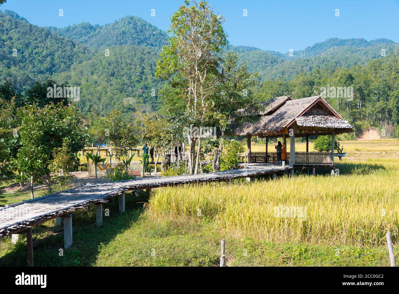 Pai, Thailand - Pai Bamboo Bridge (Boon Ko Ku So) in Pai, Mae Hong Son ...