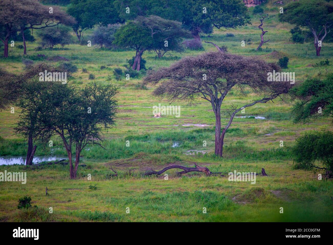 Tanzania great rift valley hi-res stock photography and images - Alamy
