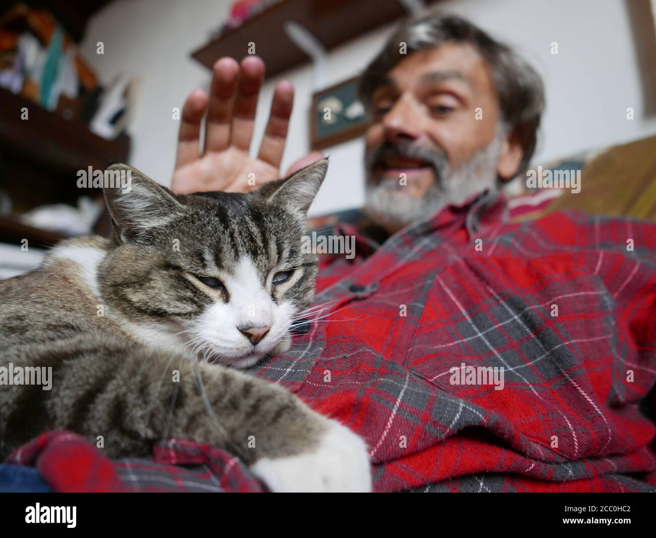 Attractive happy male playing with his adorable cat Stock Photo - Alamy
