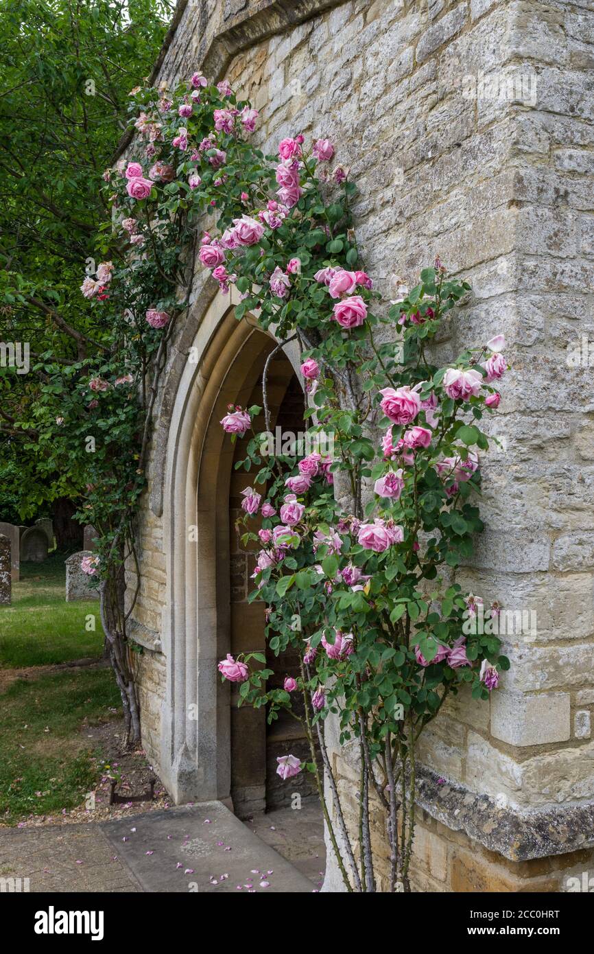 Roses around the door hi-res stock photography and images - Alamy