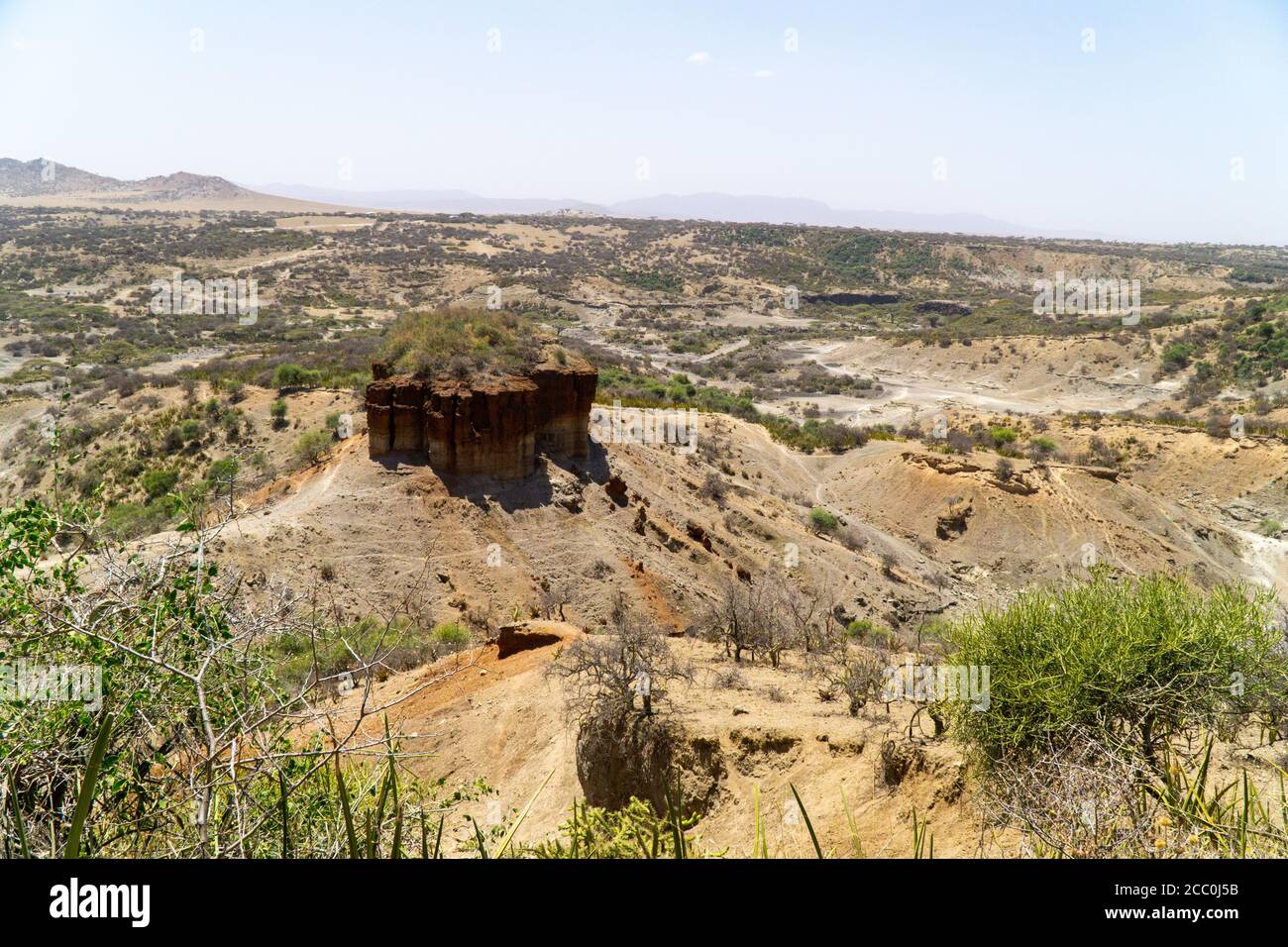 Olduvai gorge hi-res stock photography and images - Alamy