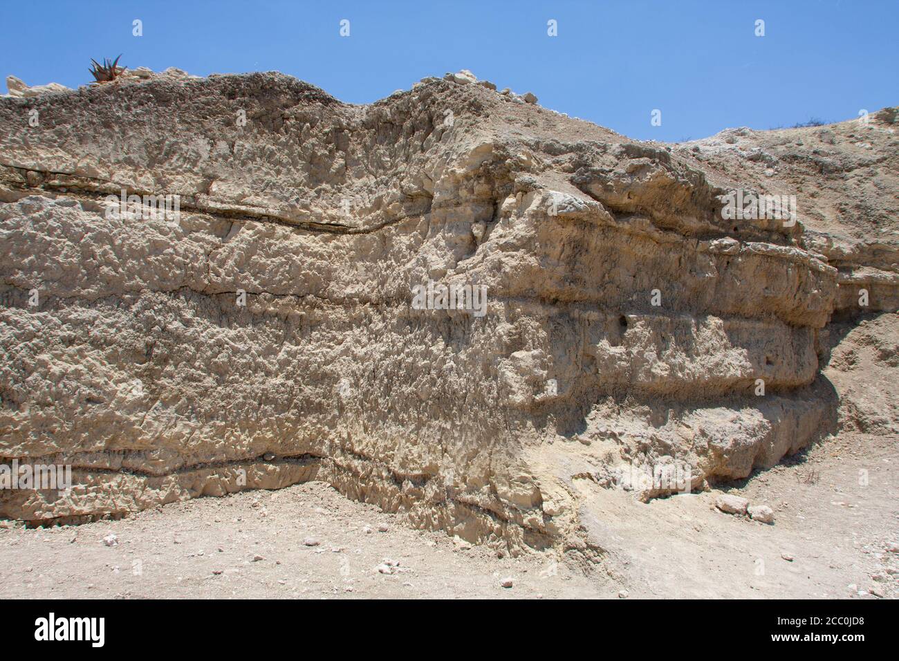 Olduvai Gorge Tanzania Stock Photo - Alamy