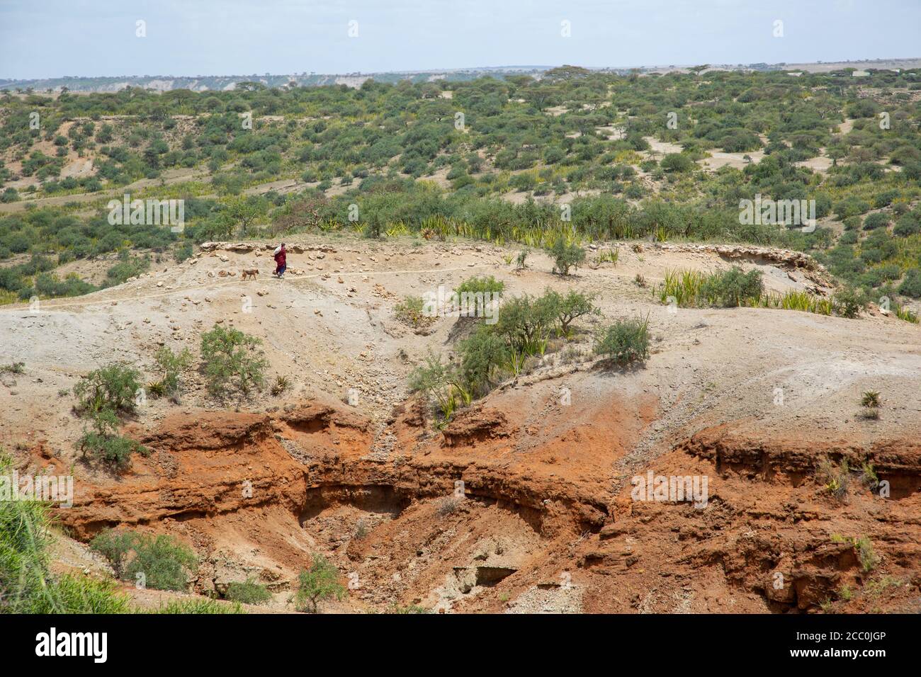 Olduvai Gorge Tanzania Stock Photo - Alamy