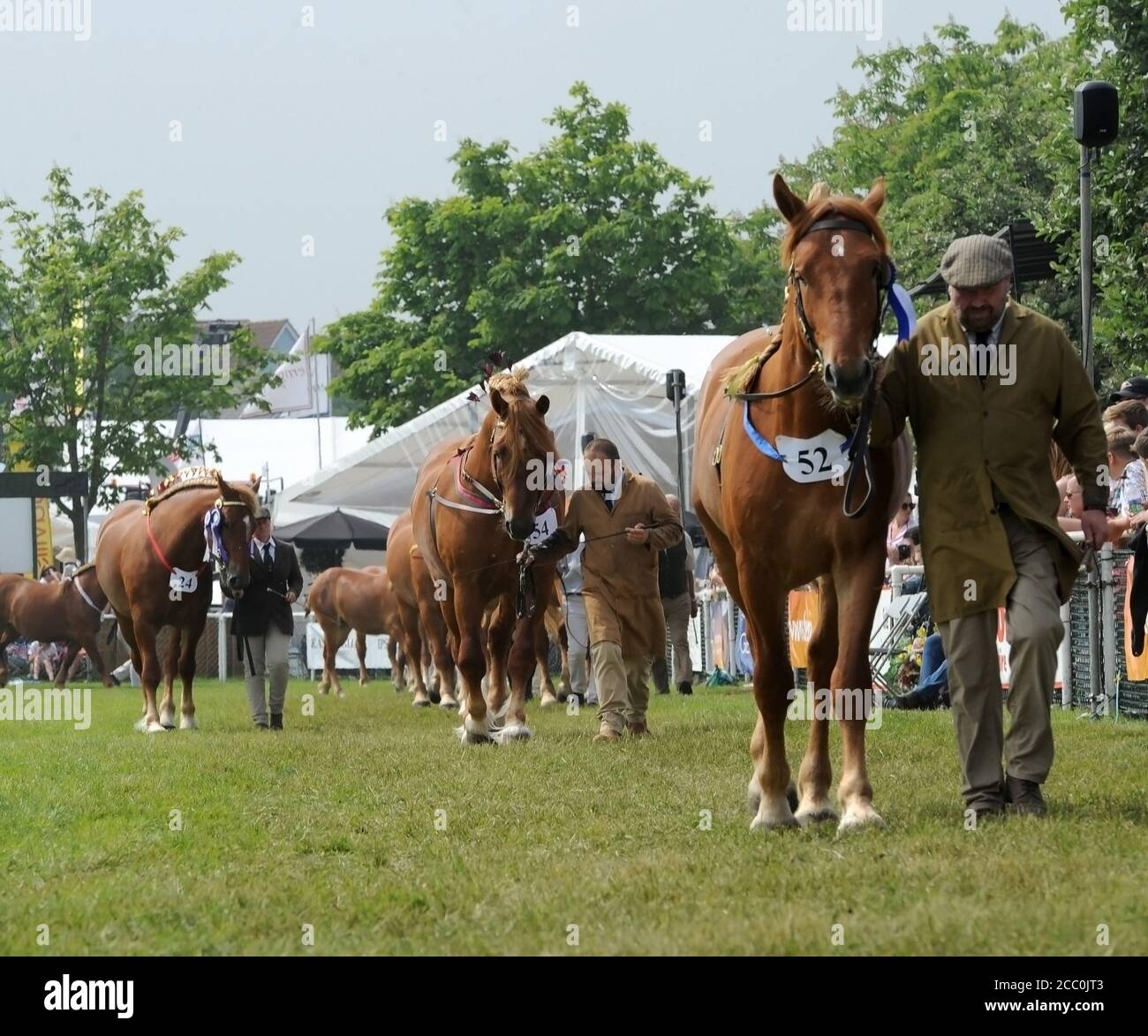 Suffolk Show 31.05.18 Grand Parade Suffolk Punch horse's Endangered ...