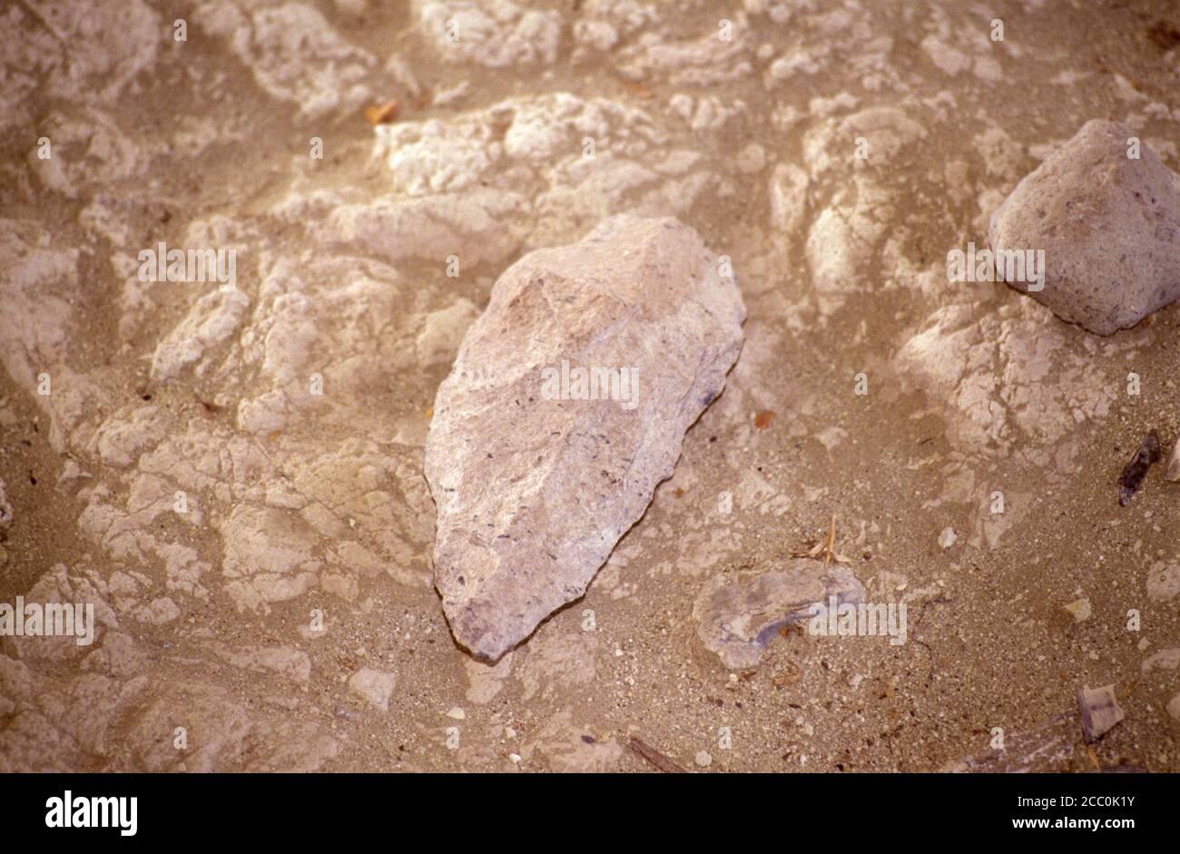 Kenya Oldowan stone chopper Stock Photo - Alamy