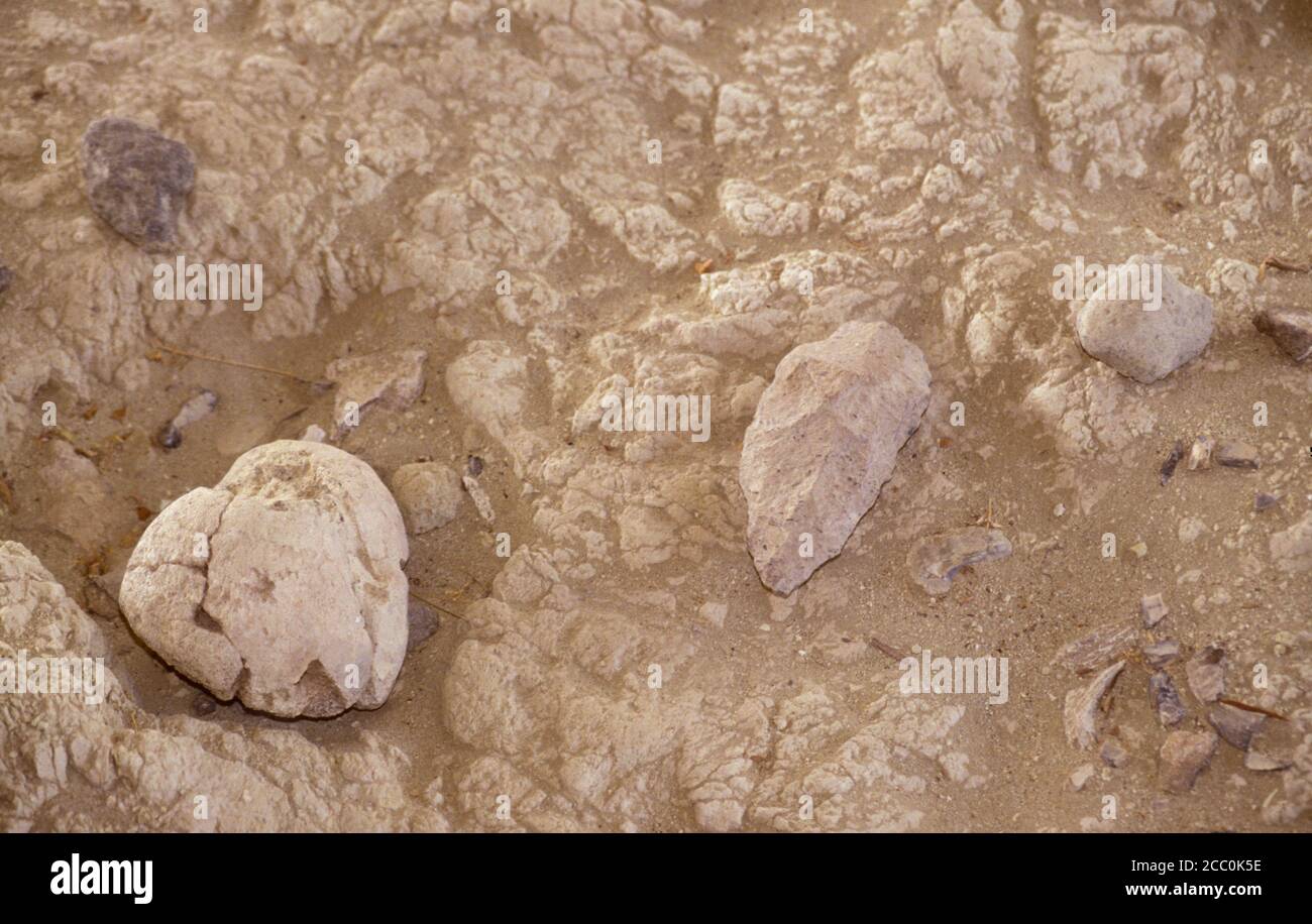 Kenya Oldowan stone chopper Stock Photo - Alamy