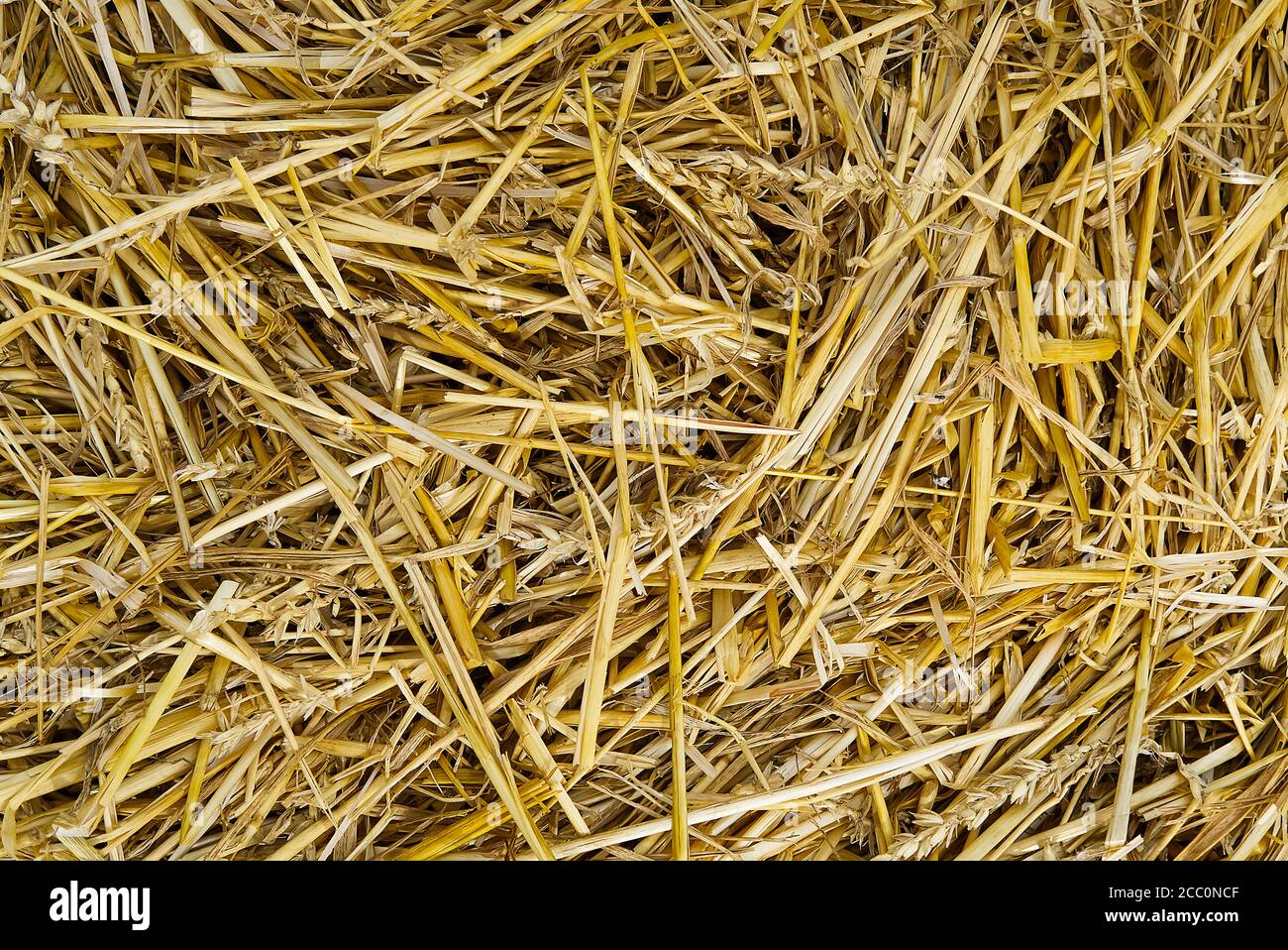 texture of dry straw. Yellow dry hay background close-up Stock Photo ...