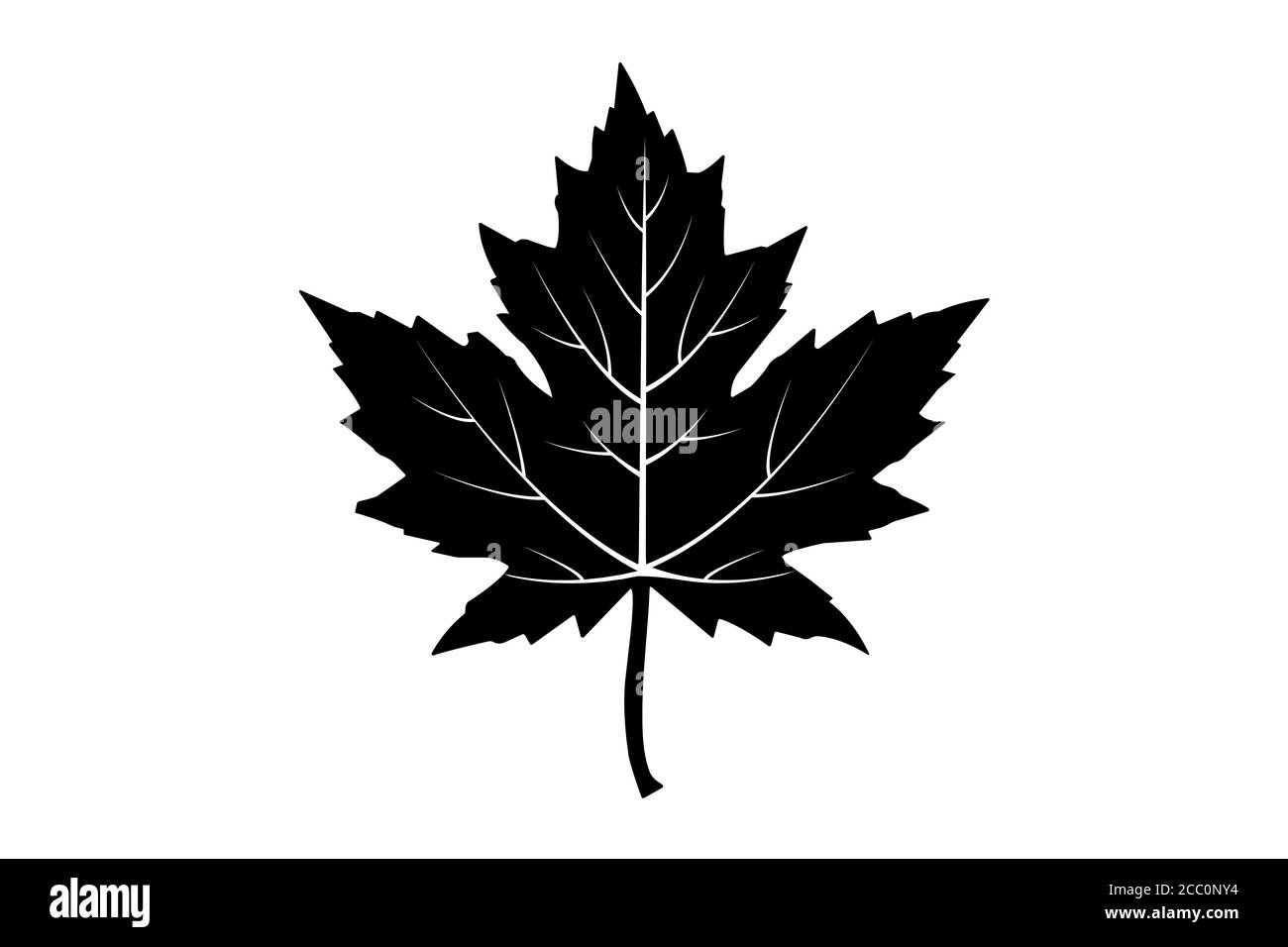 maple leaf. vector icon on white Stock Vector Image & Art - Alamy