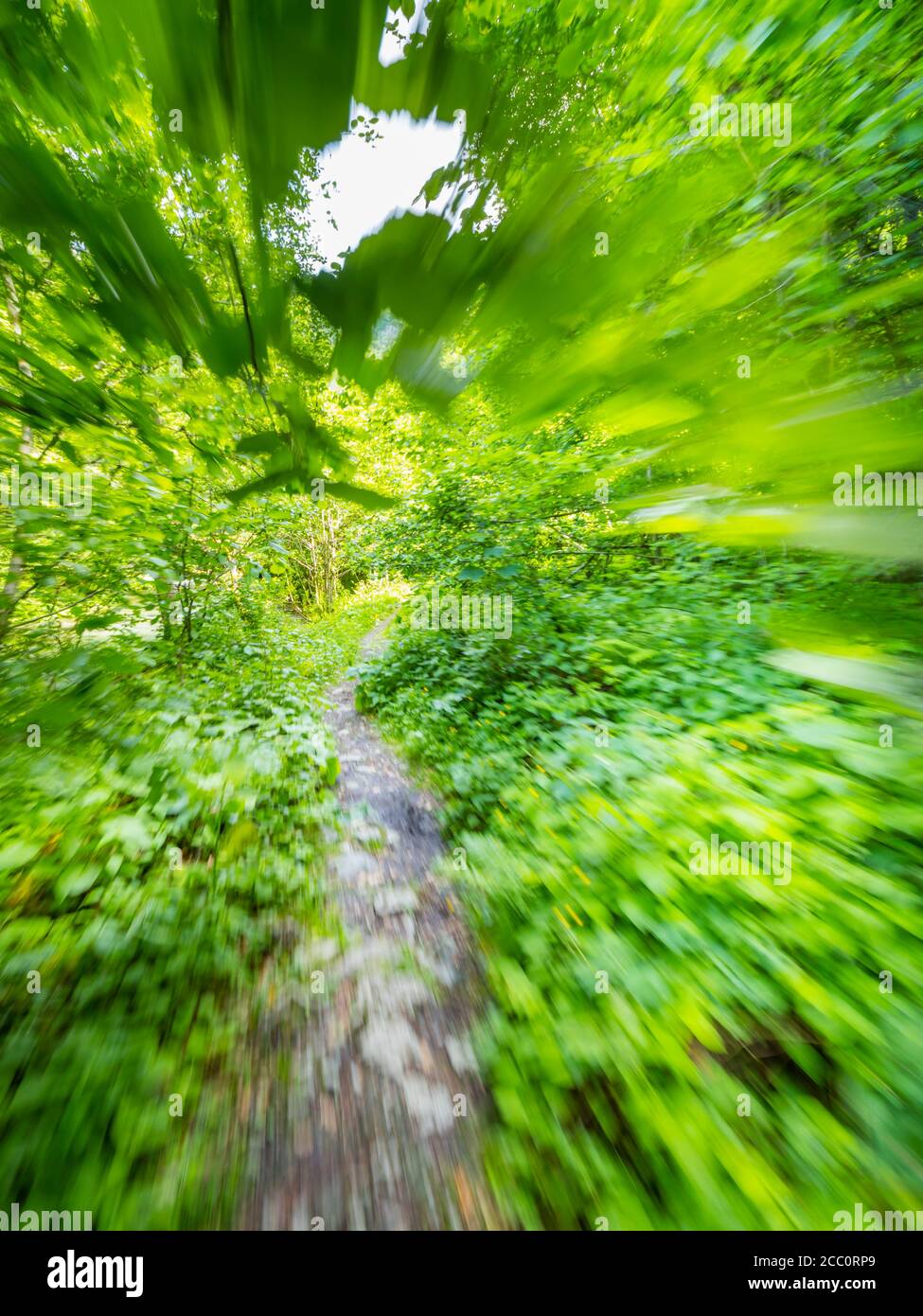 Dense denseness hi-res stock photography and images - Alamy