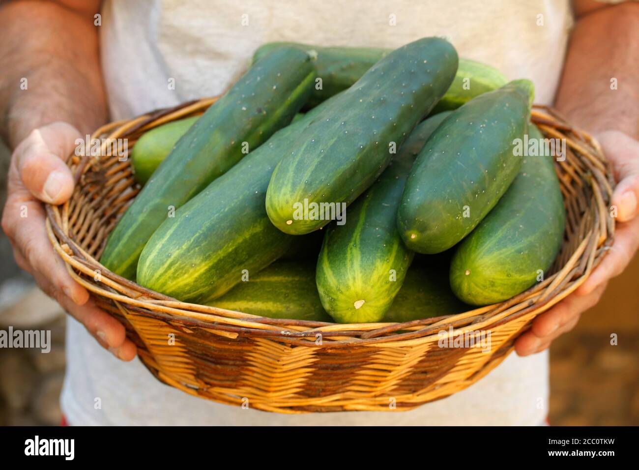 Cucumber hands hi-res stock photography and images - Alamy